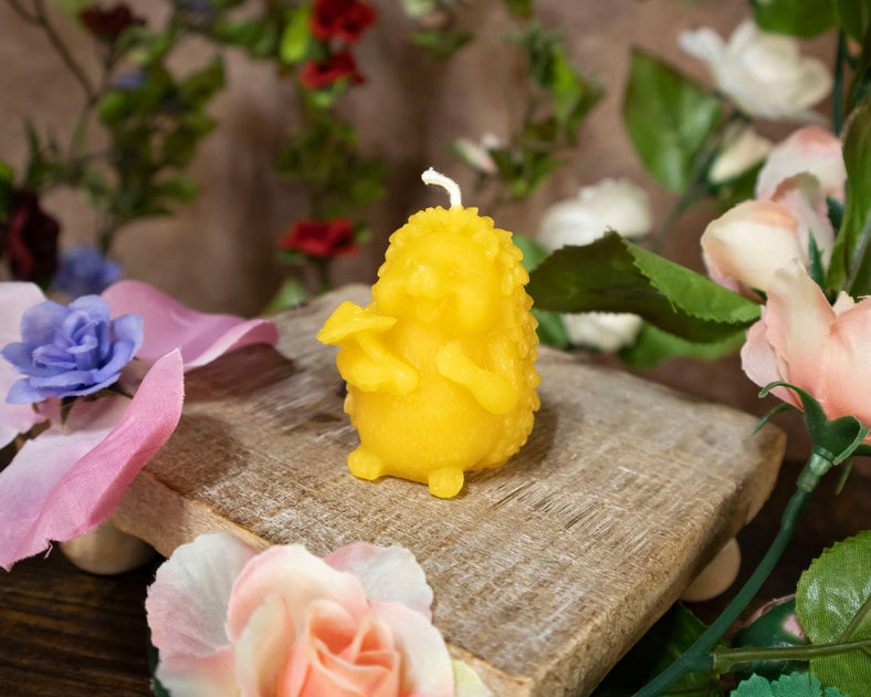 Whimsical Hedgehog | Beelite Candles – Beelite Candles